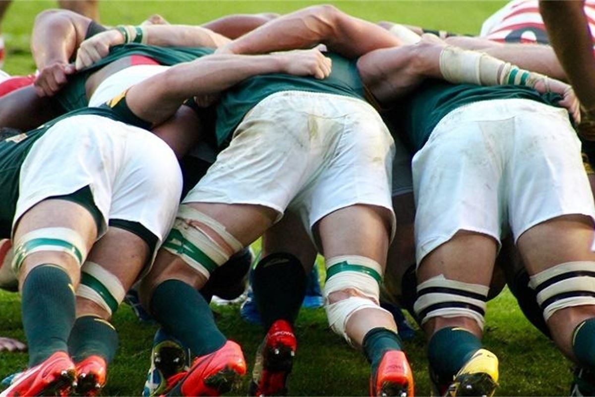 Why watching the Rugby World Cup will tell you more about university ...