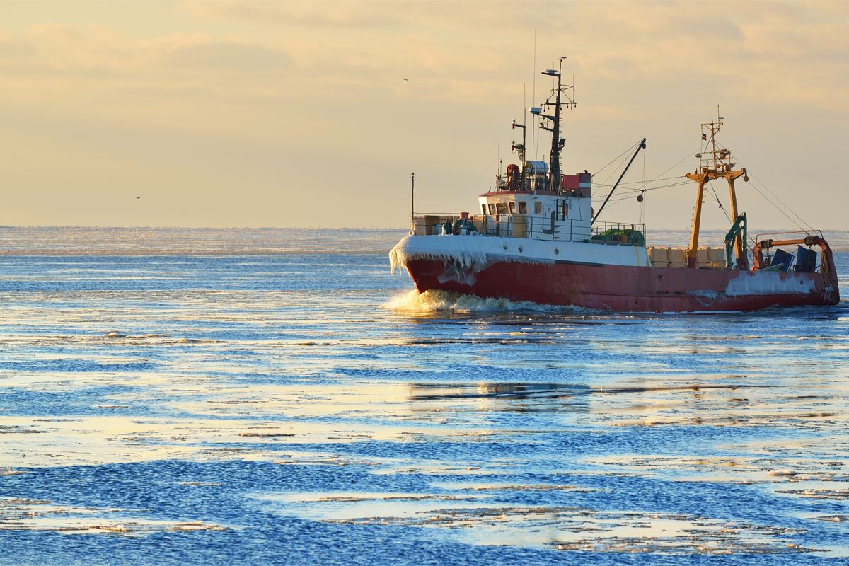 Defra seeks chief exec for Marine Management Organisation Defra seeks chief exec for Marine Management Organisation