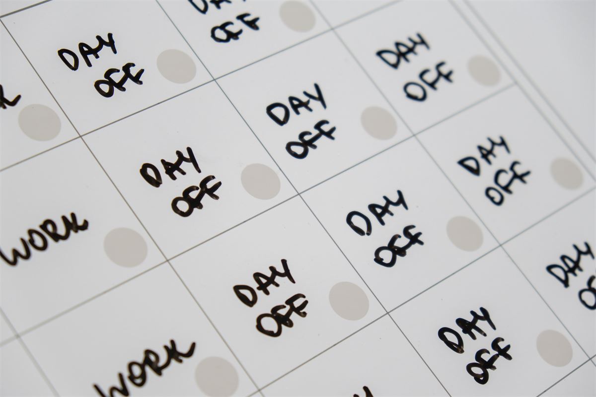 Public sector's biggest four-day work week trial a 'win-win-win'