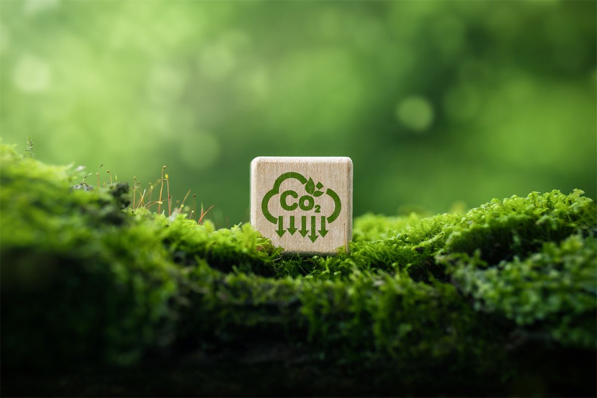 ‘Minimise environmental impact’: Guidance for government digital ...