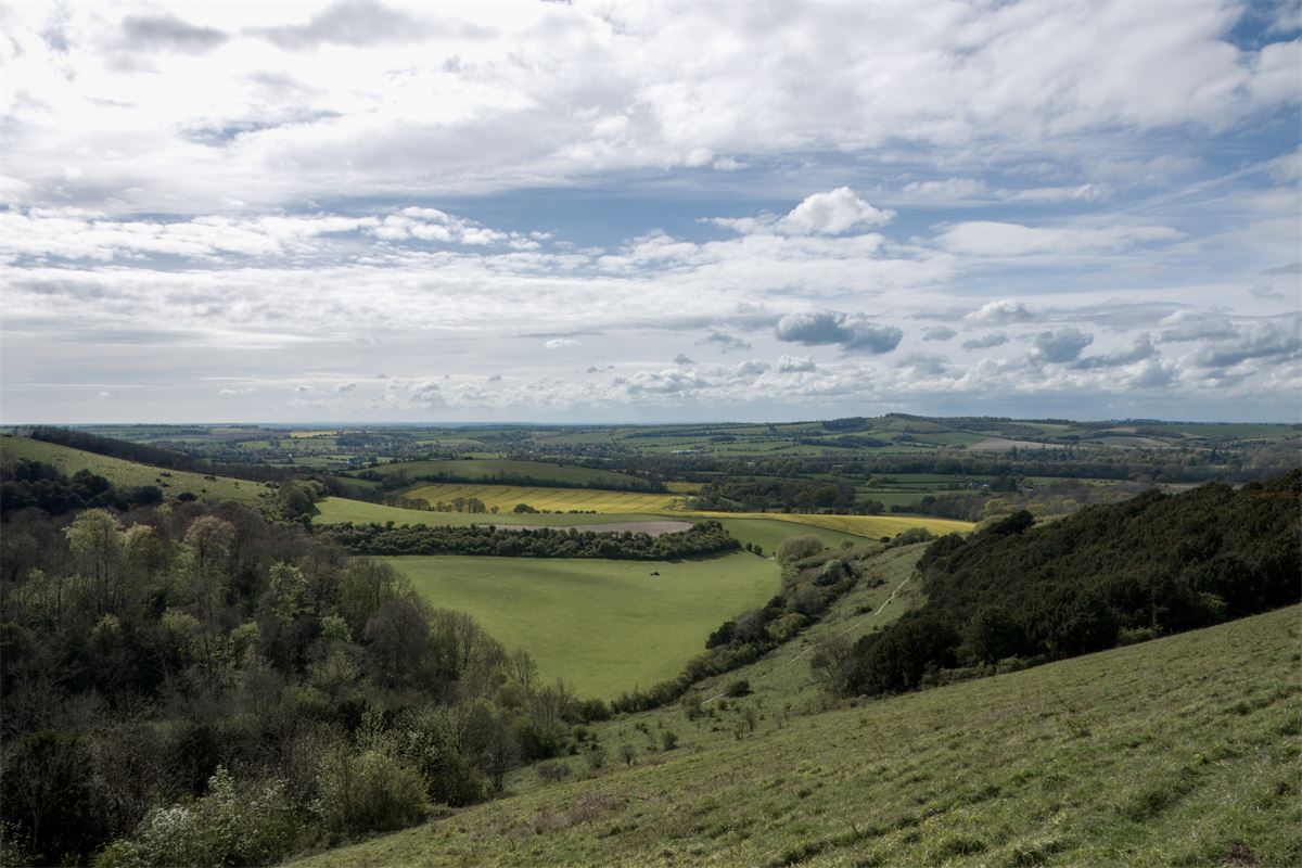 Ex-civil servant Peter Unwin returns as Natural England deputy chair