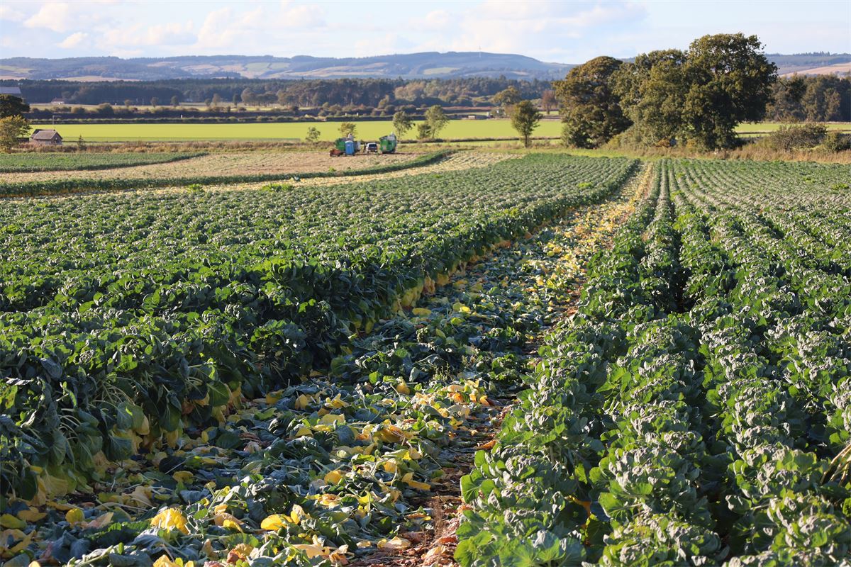 'I’ve been struck by the warmth of the welcome' – New Defra perm sec ...